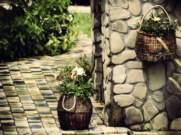 Flower in pavement Pictures, Flower in pavement Stock Photos & Images ...