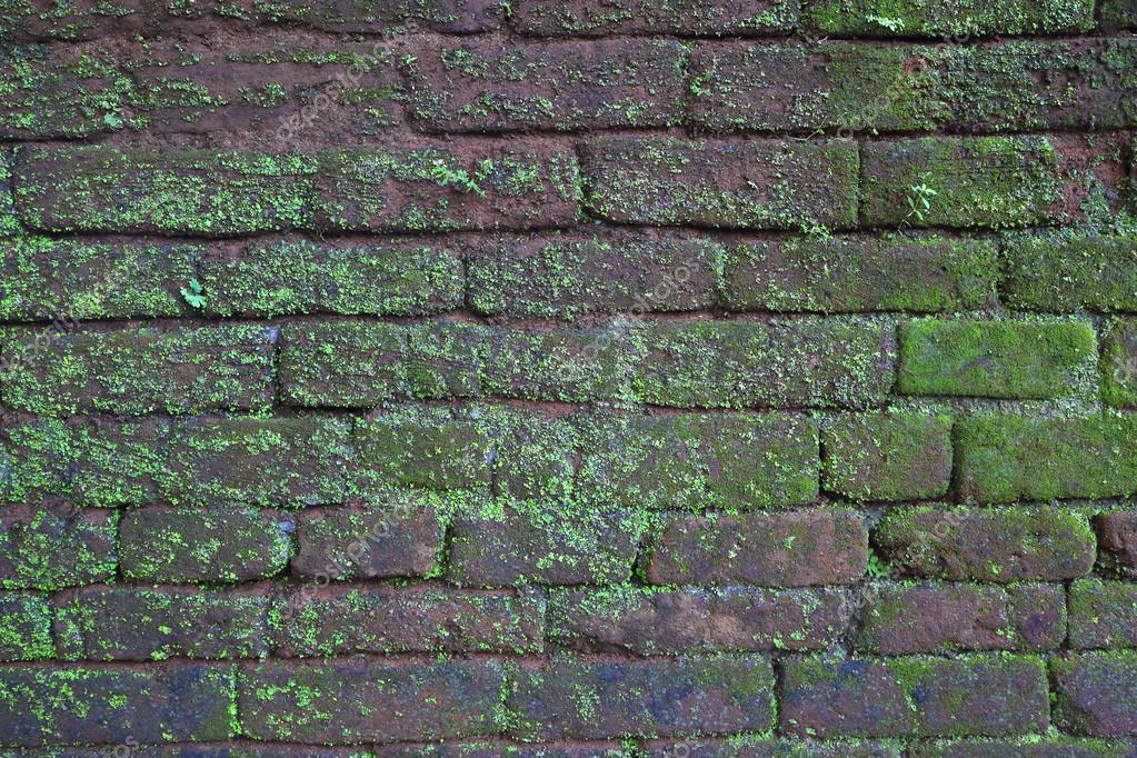 Old brick wall with moss background Stock Photo by ©Kokhanchikov 86448314