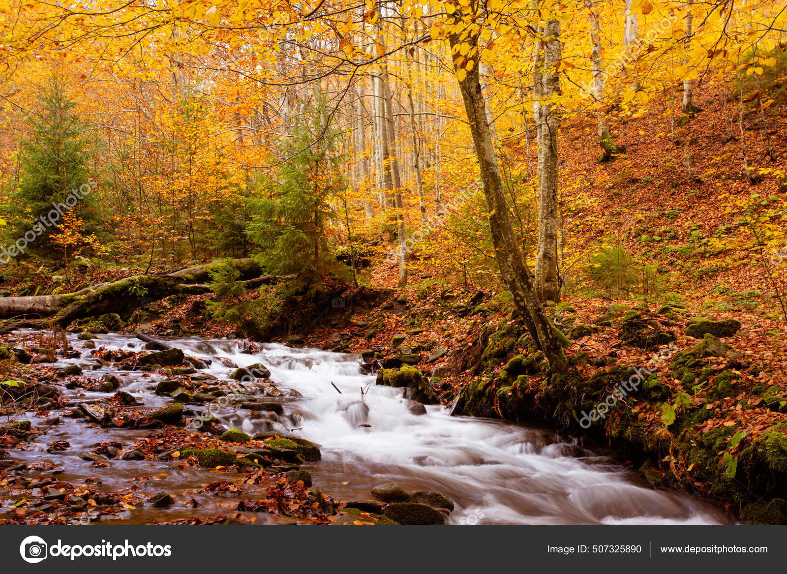 The small mountain stream in the autumn forest Stock Photo by ©oksixx ...