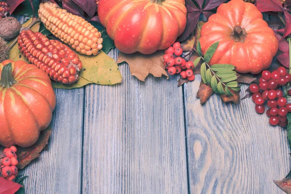 Fall harvest background Stock Photos, Royalty Free Fall harvest ...