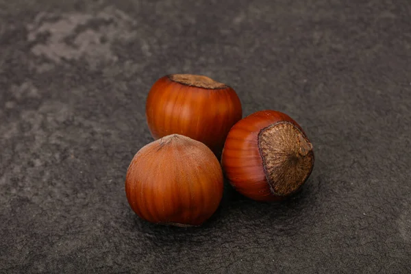 Acorn background Stock Photos, Royalty Free Acorn background Images ...