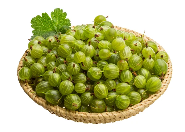 39,889 Gooseberry Stock Photos | Free & Royalty-free Gooseberry Images ...