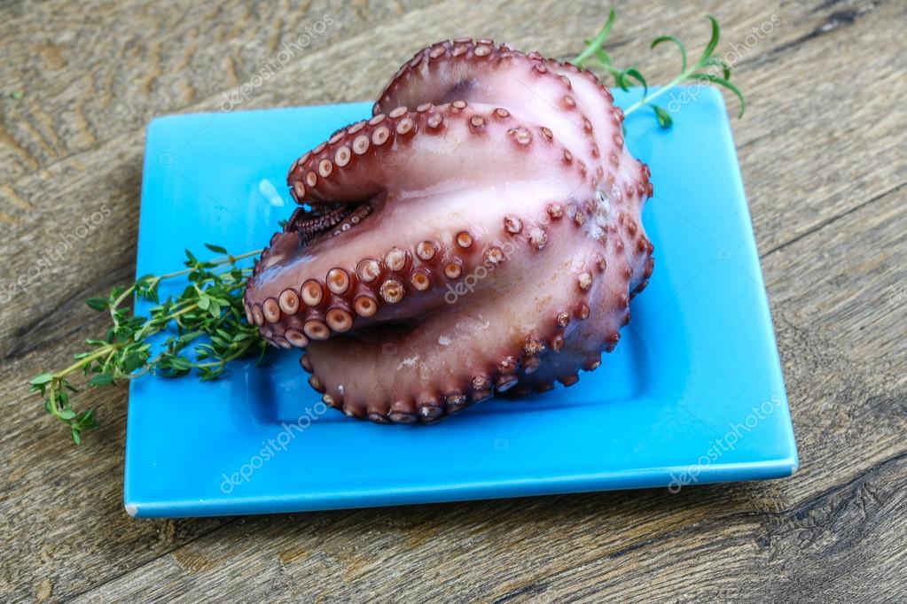 Boiled octopus with herb — Stock Photo © AndreySt #96809082