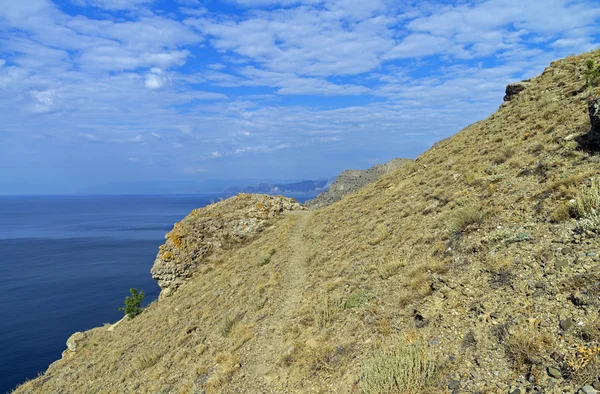 The path to the coastal cliffs — Stock Photo © possum #1183585