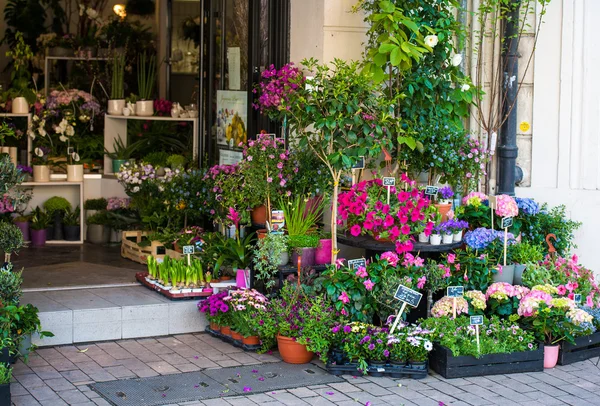Flower shop Stock Photos, Royalty Free Flower shop Images | Depositphotos