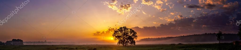 Beautiful sunrise and tree — Stock Photo © bloodua #104418166