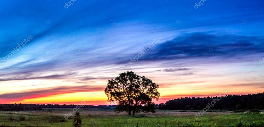 Beautiful sunrise and tree Stock Photo by ©bloodua 104418508