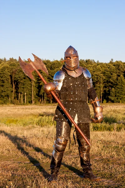 Medieval knight - Stock Image - Everypixel