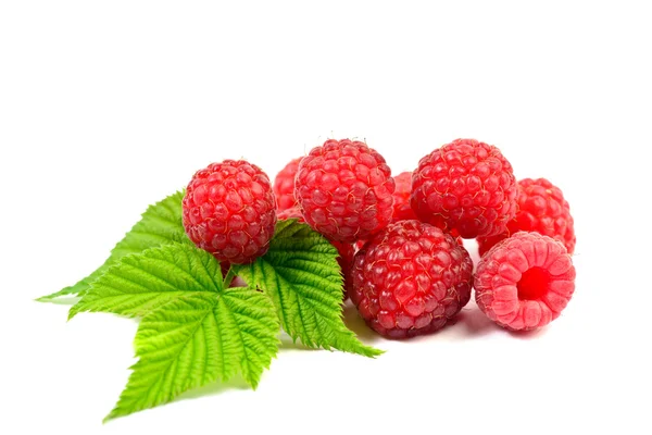 Raspberry leaves Stock Photos, Royalty Free Raspberry leaves Images ...