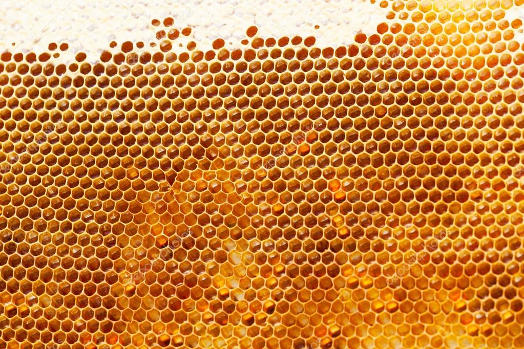 Honeycomb with full cells Stock Photo by ©Lenorlux 103232294