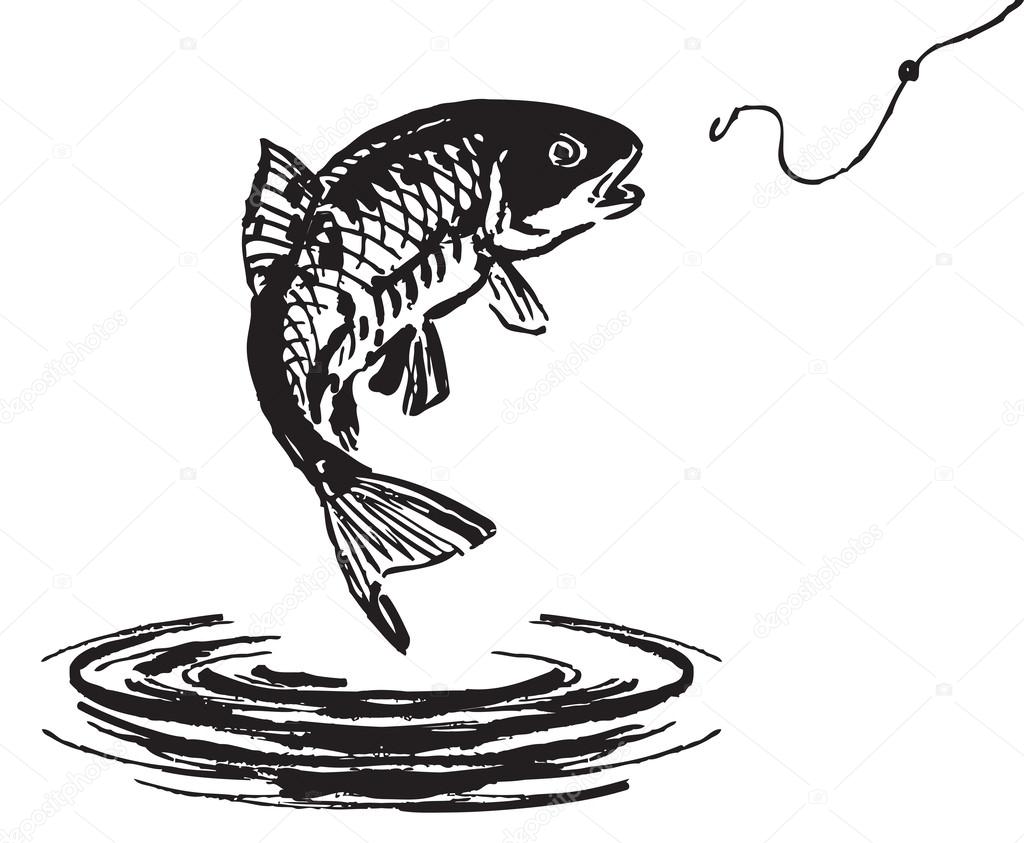 Fische Springen Aus Dem Wasser Clipart