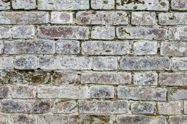 Texture old mossy gray brick wall - Stock Image - Everypixel