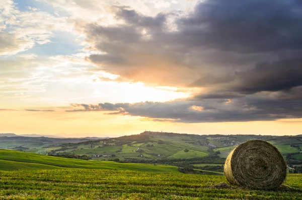 Agriculture landscape Pictures, Agriculture landscape Stock Photos ...