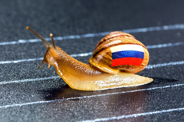 Snails race on sports track — Stock Photo © lightkeeper #9956339