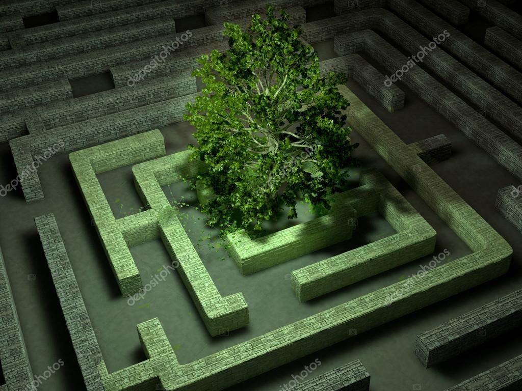 Tree in a labyrinth — Stock Photo © SergeiD #123515282