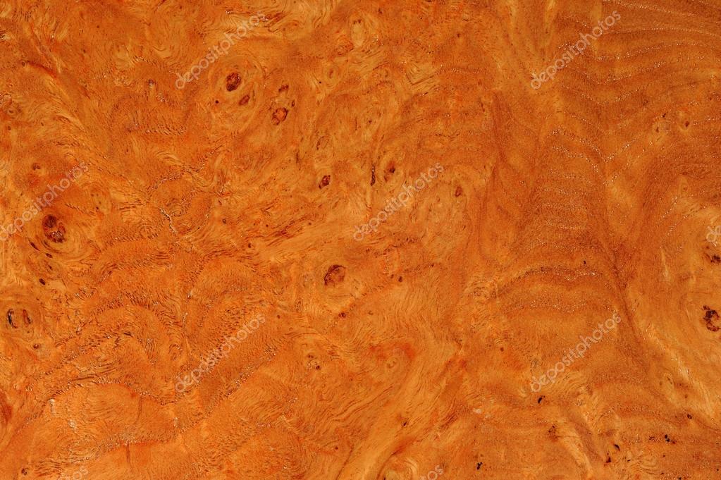 Elm Root Texture — Stock Photo © Digifuture #105448496