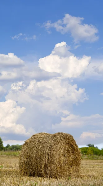 ᐈ Hay rick stock pictures, Royalty Free hay rick photos | download on ...