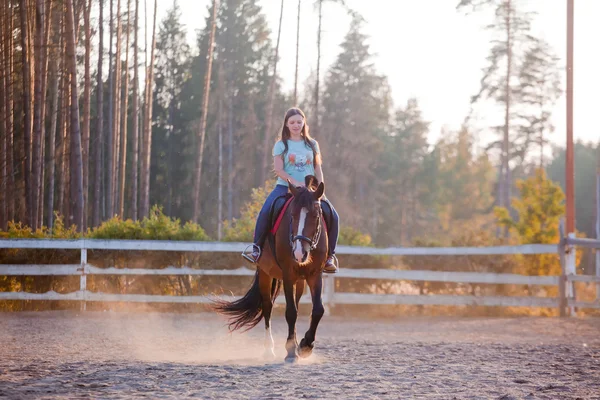 Horse riding - Stock Image - Everypixel