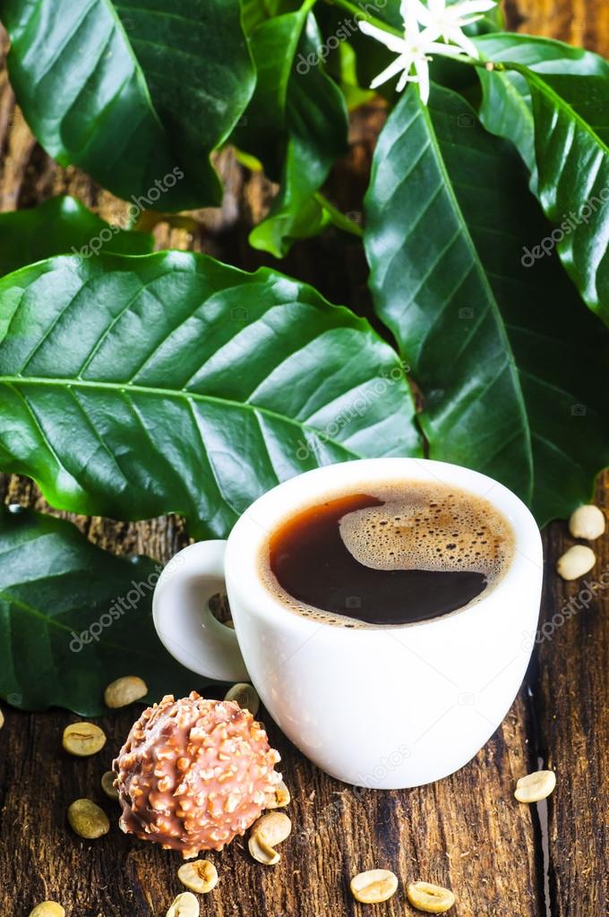 Taza de café con la rama de un árbol de café — Foto de Stock #53480371 ...