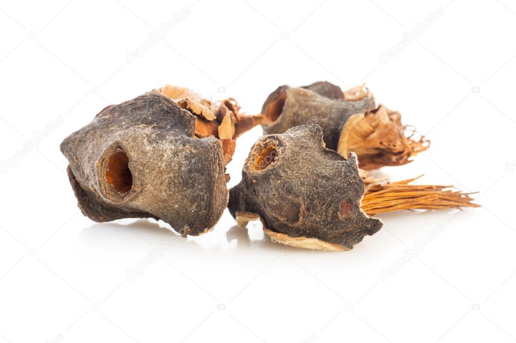 Rafflesia arnoldii dry flowers Stock Photo by ©nanka-photo 92692748