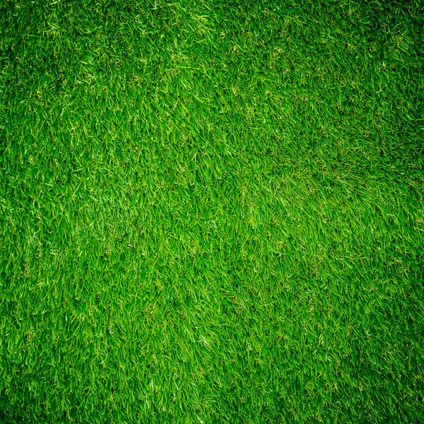 Green grass texture from - Stock Image - Everypixel