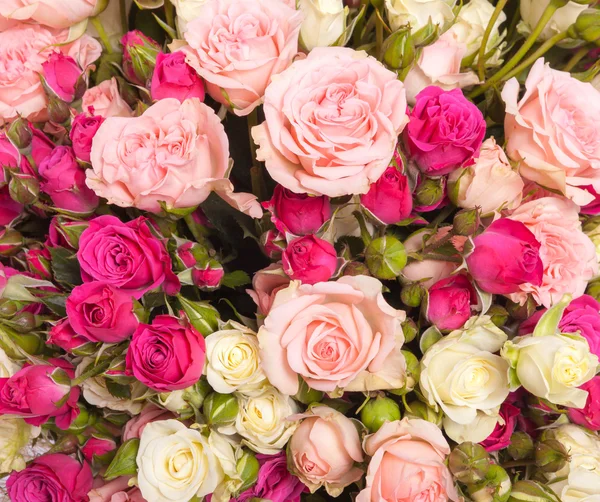 Assorted roses — Stock Photo © gilmanshin #77523008