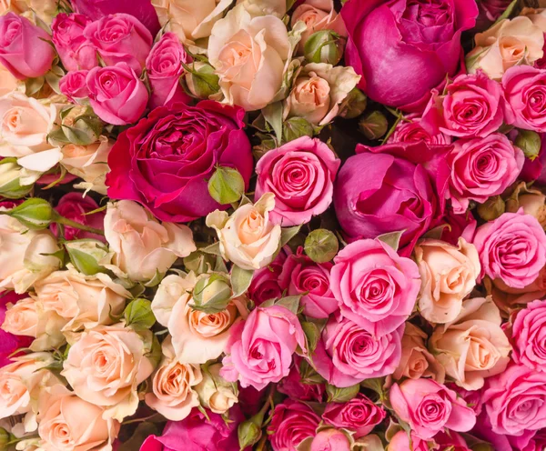Cut roses Stock Photos, Royalty Free Cut roses Images | Depositphotos