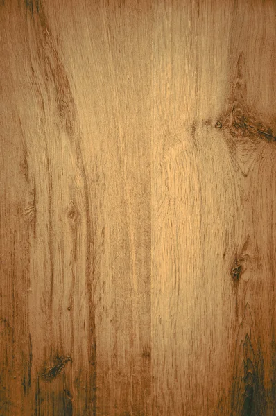 Immagini e foto stock di La quercia | Depositphotos