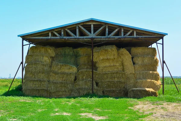 Tied haystacks Stock Photos, Royalty Free Tied haystacks Images ...