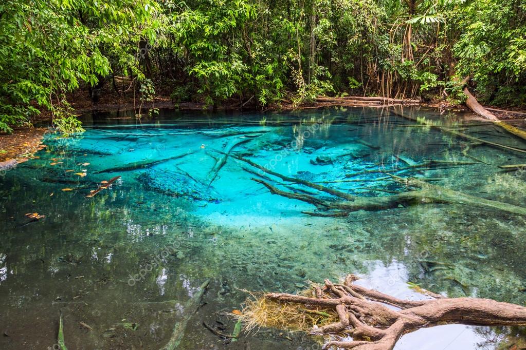 Tropical Lake in jungle Stock Photo by ©fotoall 100987336