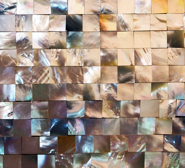 Nacre de nacre images libres de droit, photos de Nacre de nacre ...