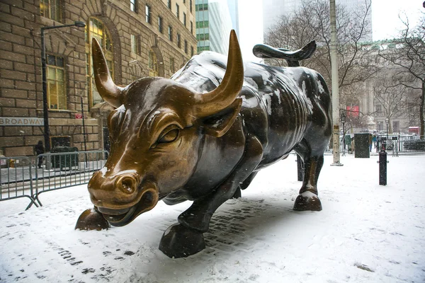 Real Life Charging Bull