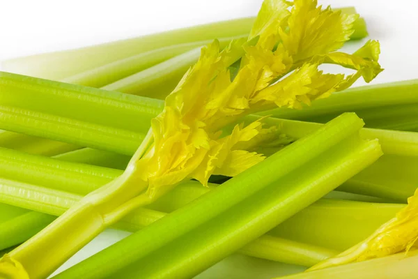 Cada apio fotos de stock, imágenes de Cada apio sin royalties ...