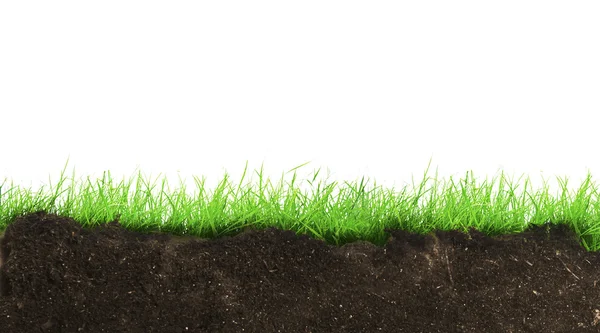 Pasto y suelo fotos de stock, imágenes de Pasto y suelo sin royalties ...