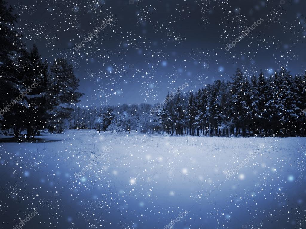 Night park and many snowflakes — Stock Photo © Olegkalina #91039134