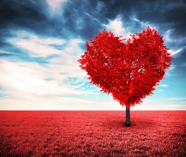 Red Heart shape tree Stock Photo by ©Photocreo 63992531
