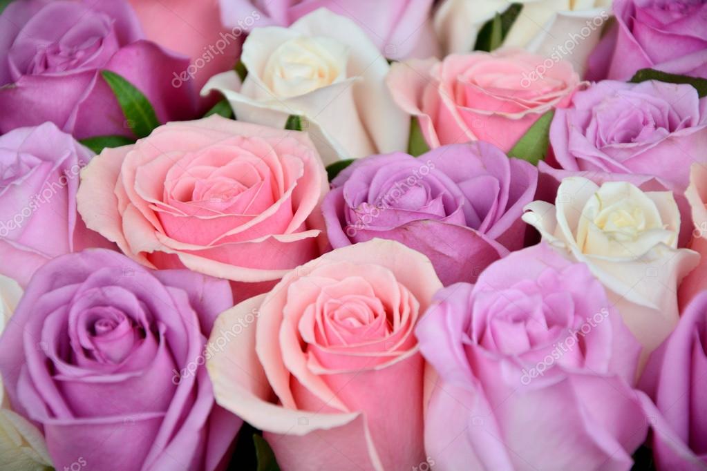Pink and white roses background Stock Photo by ©marina99 52472811