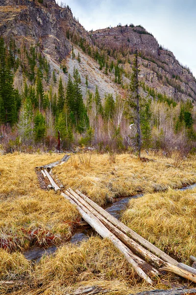 3,714 Morass Stock Photos, Images | Download Morass Pictures on ...