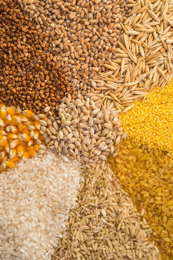 Collection Set of Cereal Grains Stock Photo by ©ksena32 103329260