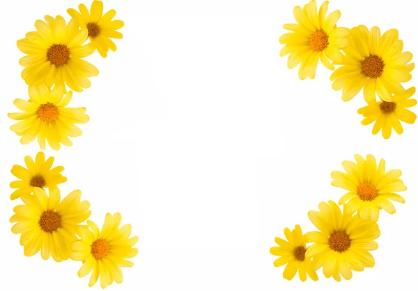 Yellow flower border — Stock Photo © Anna_Om #6053593