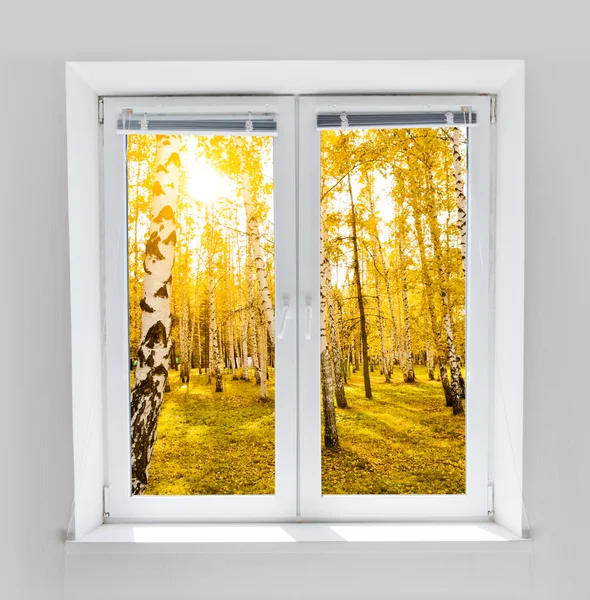 Autumn window view Stock Photos, Royalty Free Autumn window view Images ...