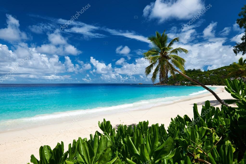 Beautiful Anse Intendance beach ⬇ Stock Photo, Image by © haveseen ...