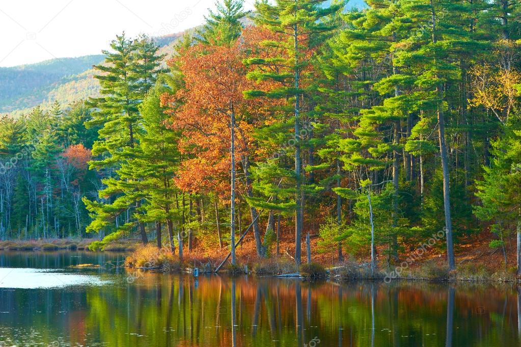 Pond in New Hampshire — Stock Photo © haveseen #80694530