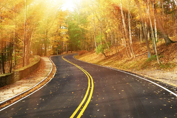 Fall road Stock Photos, Royalty Free Fall road Images | Depositphotos