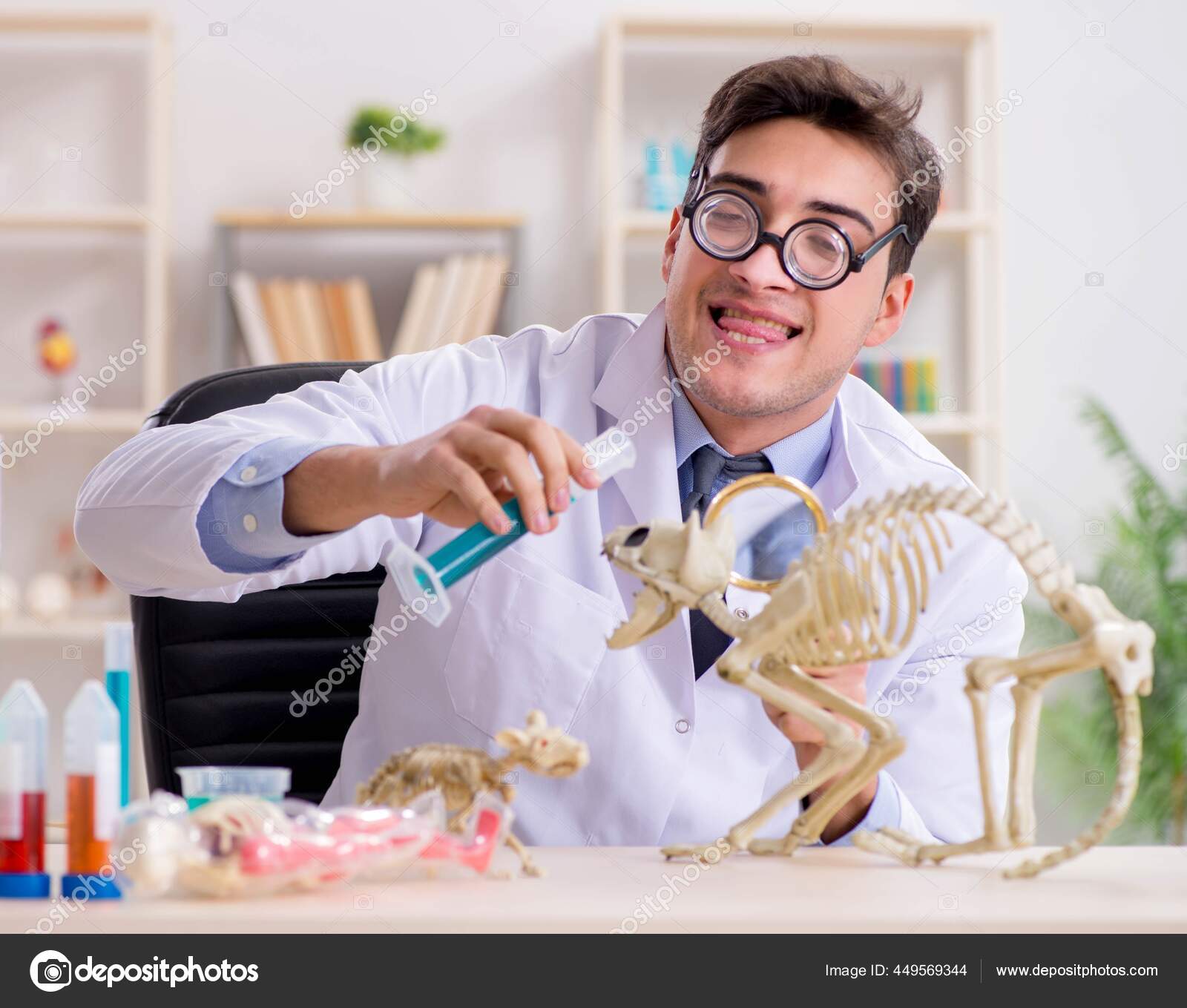 Funny scientist with cat skeleton in lab clinic Stock Photo by ©Elnur ...