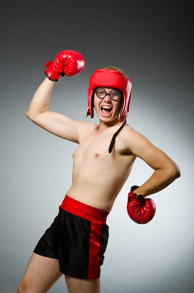 Funny nerd boxer in sport concept - Stock Image - Everypixel