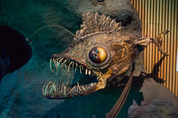 Angler fish Stock Photos, Royalty Free Angler fish Images | Depositphotos