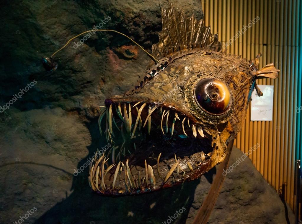 Angler fish Stock Photo by ©loskutnikov 67534503