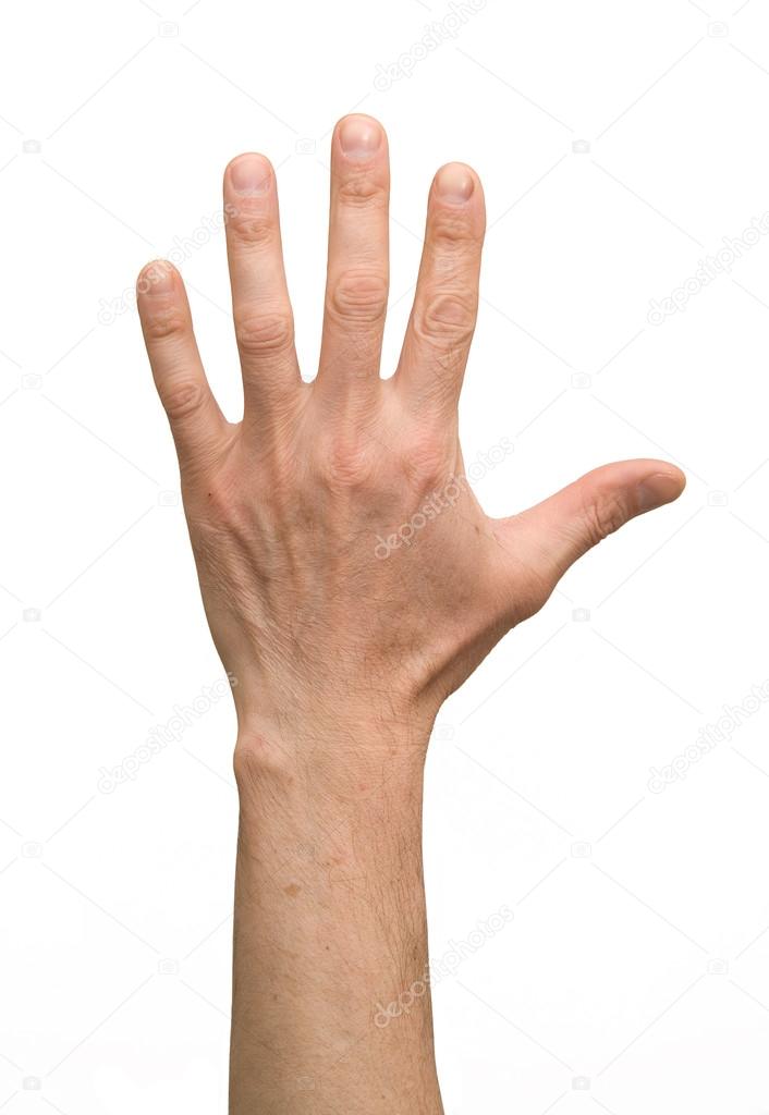 Arm, hand — Stock Photo © loskutnikov #84080046