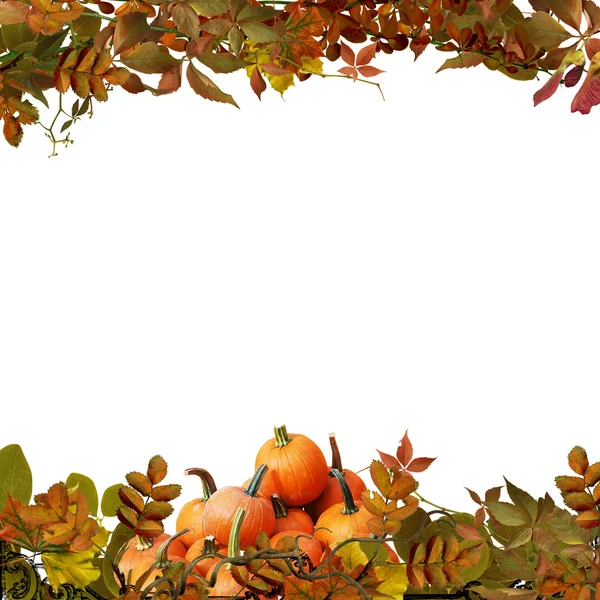 Thanksgiving border Stock Photos, Royalty Free Thanksgiving border ...